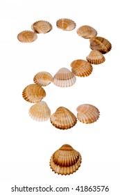Isolated On White Shell Question Mark Stock Photo 41863576 | Shutterstock