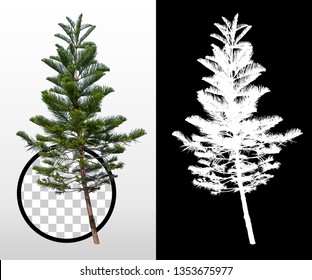 1,790 Pine tree alpha Images, Stock Photos & Vectors | Shutterstock
