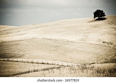 Isolated Tree Desolate Landscape Stock Photo 24577819 | Shutterstock