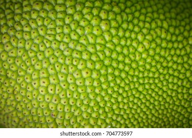 Jackfruit Green Texture Background Stock Photo (Edit Now) 669118825
