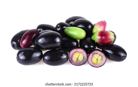 1,089 Jambolan plant Images, Stock Photos & Vectors | Shutterstock