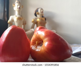 91 Jambu mete Images, Stock Photos & Vectors | Shutterstock