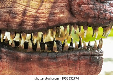 Jaw Has Sharp Teeth Predator Closeup Stock Photo (Edit Now) 1956332974 ...