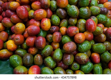 Jocotes Images, Stock Photos & Vectors | Shutterstock