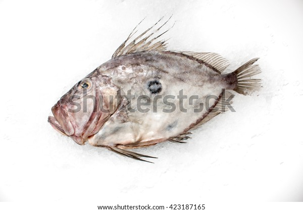 3,202 Saint Pierre Poisson Images, Stock Photos & Vectors | Shutterstock