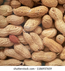 Jumbo Raw Peanuts Shell Stock Photo 1186937659 | Shutterstock