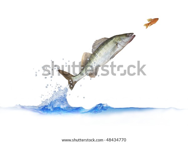 Jump Fish Stock Photo 48434770 | Shutterstock