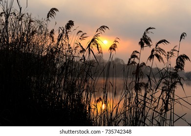 Junam Images, Stock Photos & Vectors | Shutterstock