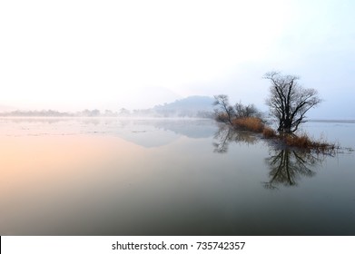 Junam Images, Stock Photos & Vectors | Shutterstock
