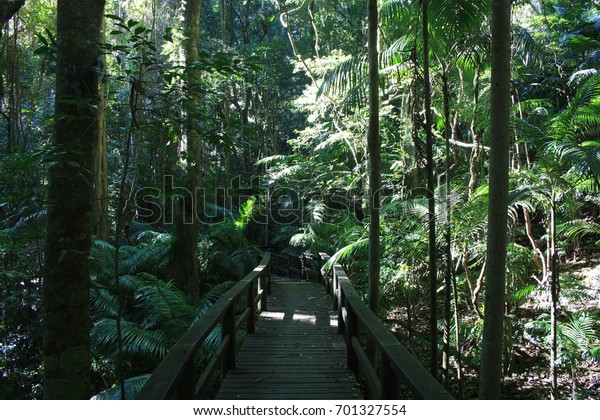 Jungle Pathway Stock Photo 701327554 | Shutterstock
