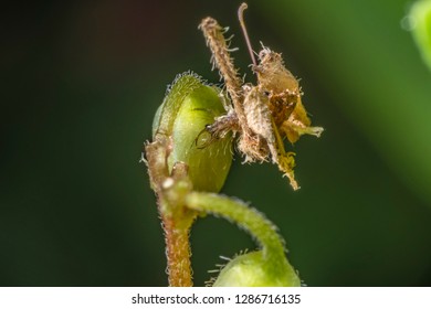 1,301 Junk bug Images, Stock Photos & Vectors | Shutterstock