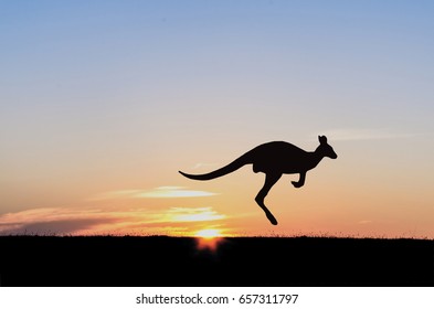 5,103 Kangaroo sun Images, Stock Photos & Vectors | Shutterstock