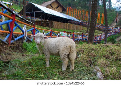 784 The Lawu Park Images, Stock Photos & Vectors | Shutterstock