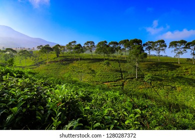 Karanganyar Solo Central Java Indonesia Stock Photo 1280287372 ...