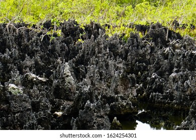 Phytokarst Images, Stock Photos & Vectors | Shutterstock