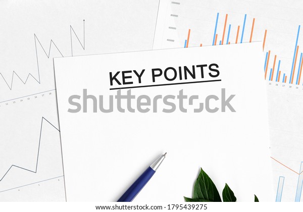 Key Points Document Graphs Diagrams Blue Stock Photo 1795439275 ...