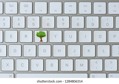 Keyboard Tree Button Stock Photo 1284806314 | Shutterstock