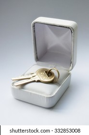 4,915 Key ring box Images, Stock Photos & Vectors | Shutterstock