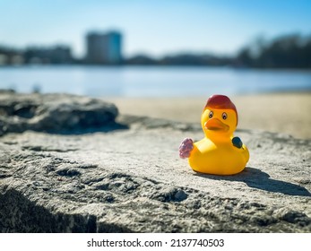 280 Rubber Duck Front View Images, Stock Photos & Vectors | Shutterstock