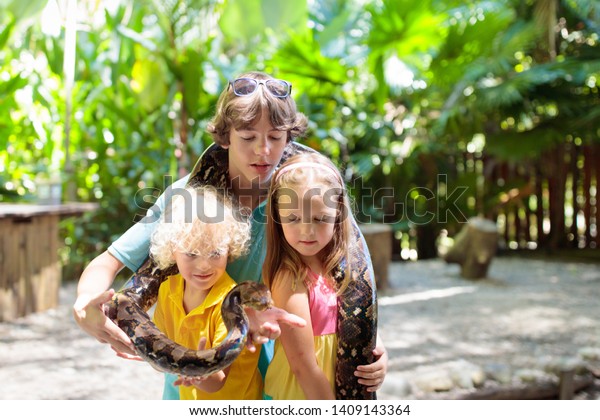 Kids Holding Python Snake Tropical Zoo Stock Photo 1409143364 ...
