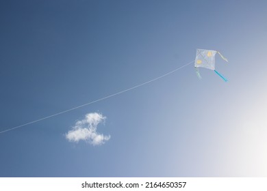 Kite Floating Sky Bluetailed Rectangular Kite Stock Photo 2164650357 ...