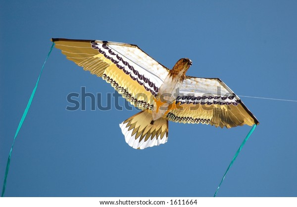 Kite Shape Eagle Flying Sky Stock Photo 1611664 | Shutterstock