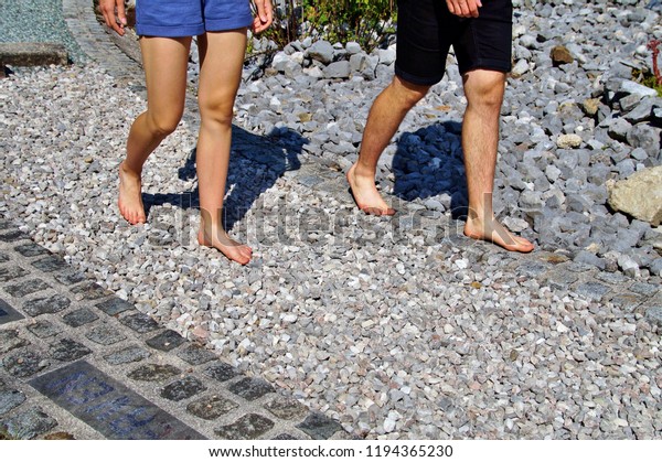 Kneipp Path Summertime Stock Photo 1194365230 | Shutterstock