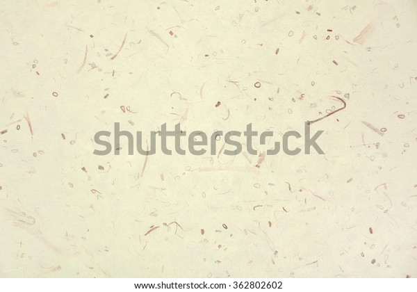 Korean Paper Texture 스톡 사진(지금 편집) 362802602