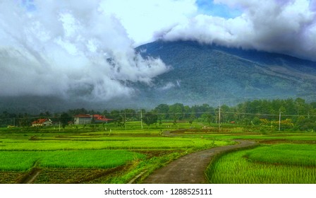 Stock Photo and Image Portfolio by ridwan_af | Shutterstock