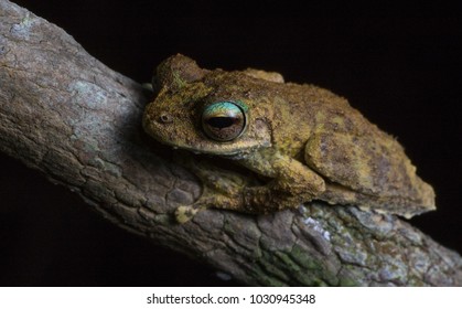 Stock Photo and Image Portfolio by Adam Brice | Shutterstock