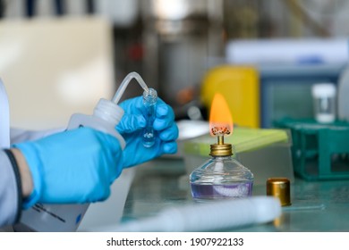 603 Chemistry lab heating a test tube Stock Photos, Images ...