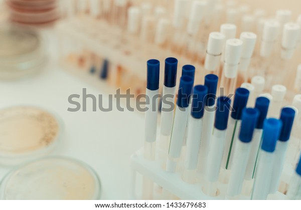 Lab Top View Different Test Tubes Stock Photo 1433679683 | Shutterstock