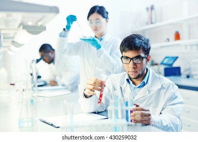 Lab Work Stock Photo 430259032 | Shutterstock