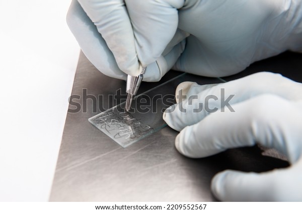 Laboratorian Labelling Microscope Slide Using Diamond Stock Photo ...