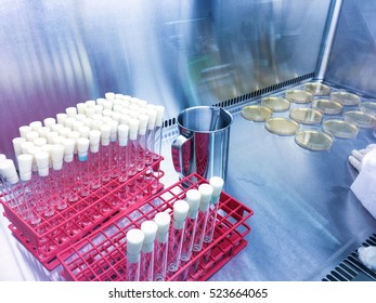 Laboratory Backgroundscience Test Background Stock Photo 523664065 ...