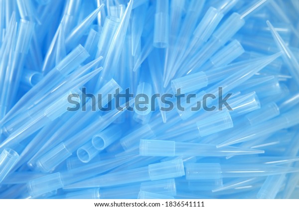 Laboratory Blue Tips Background Laboratory Material Stock Photo ...