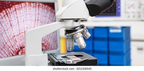 338 Digital Pathology Microscope Images, Stock Photos & Vectors ...