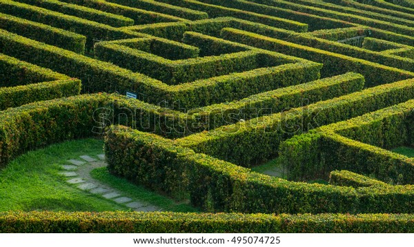 Jardin du Labyrinthe : photo de stock (modifier maintenant) 495074725