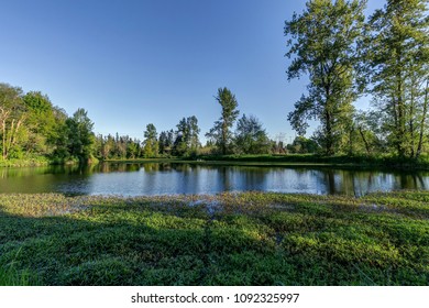 110 Langley lake Images, Stock Photos & Vectors | Shutterstock