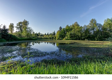 110 Langley lake Images, Stock Photos & Vectors | Shutterstock