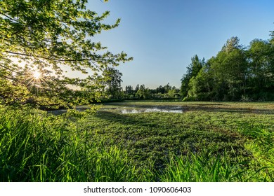 110 Langley lake Images, Stock Photos & Vectors | Shutterstock