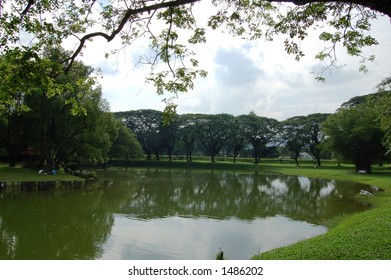 Stock Photo and Image Portfolio by Ang Chee Teong | Shutterstock