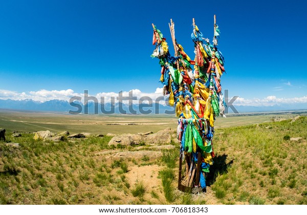 Lamas Cell Stock Photo 706818343 | Shutterstock