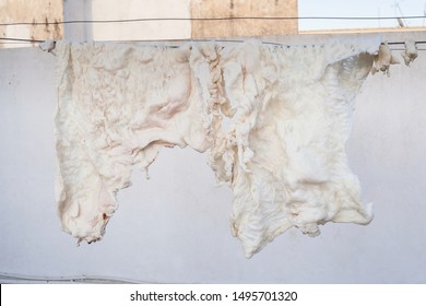 Lamb Fat Process Drying Hanging On Stock Photo 1495701320 | Shutterstock