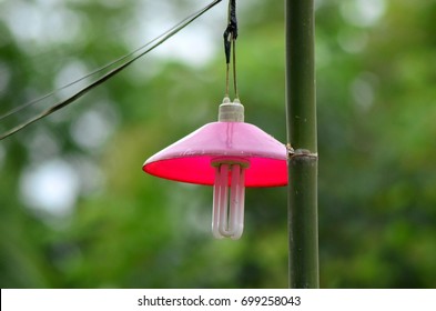Classic Windy Bell Stock Photo 651929845 | Shutterstock
