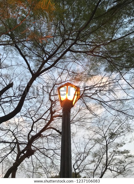 Lamp Post Park Stock Photo 1237106083 | Shutterstock