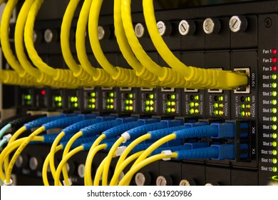 Rj45 Connector Utp Port Cat6 Ethernet Stock Photo (Edit Now) 1260105163