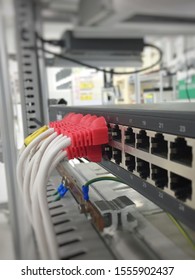 Lan Cable Connection Switch Hub Process Stock Photo 1555902437 ...