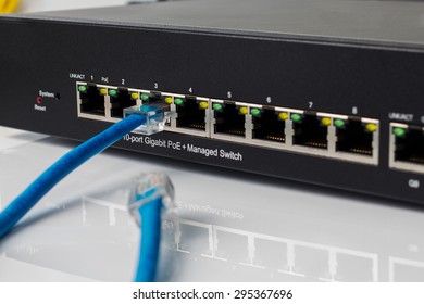 Lan Network Switch Ethernet Cables Plugging Stock Photo 295367696 ...