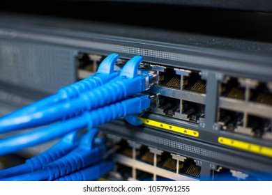Old Network Switch Hub Cables Stock Photo (Edit Now) 550824652